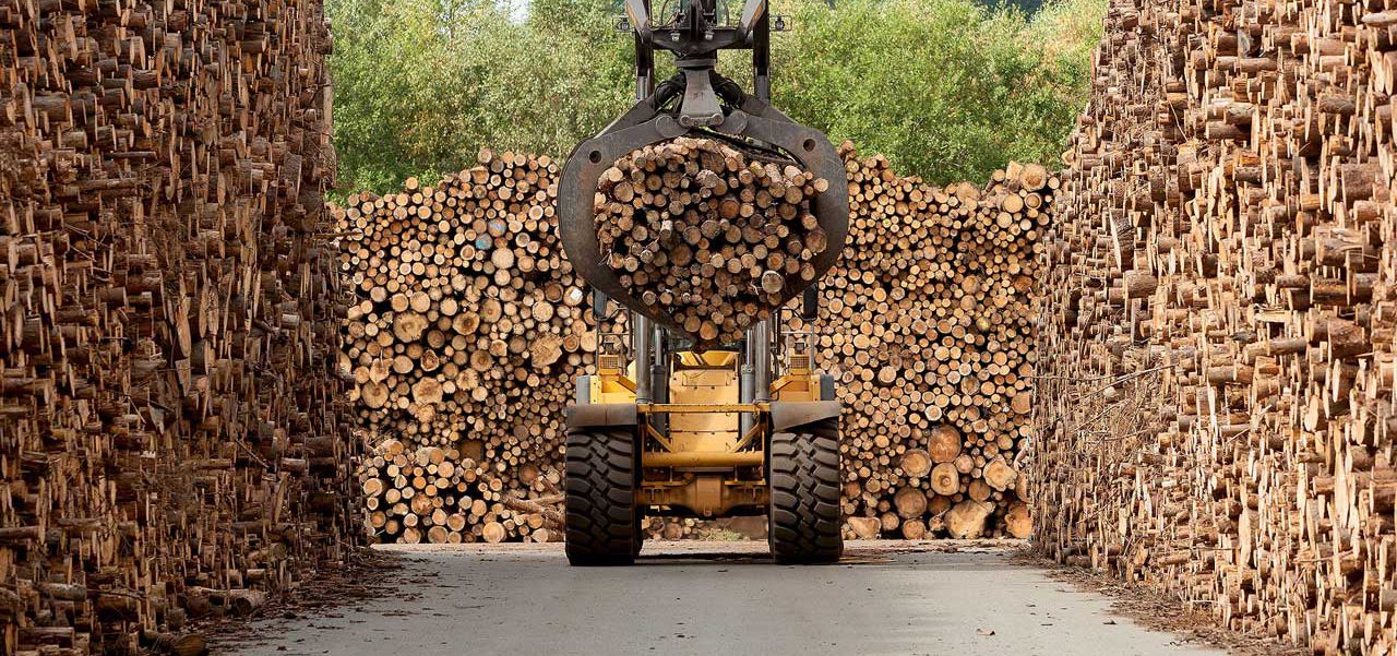 Products & Services | Mercer International