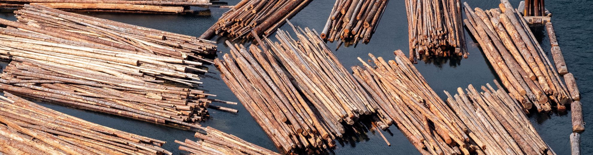 Mercer International Inc. announces the completion of the acquisition ...