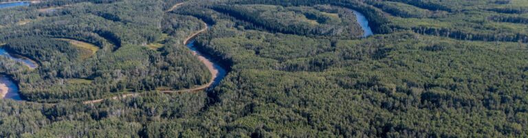 Mercer Peace River | Mercer International