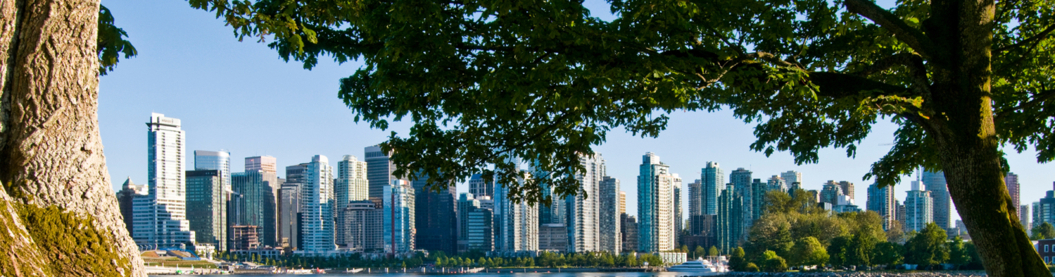 Mercer International Inc. reports first quarter 2025 results and ...